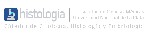 HISTOLOGIA